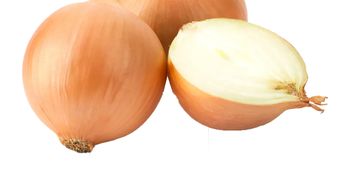 Cebolla | Introducción | Verduras y hortalizas | EROSKI CONSUMER